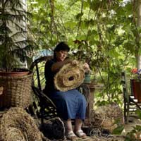 Instructors | Wild Abundance