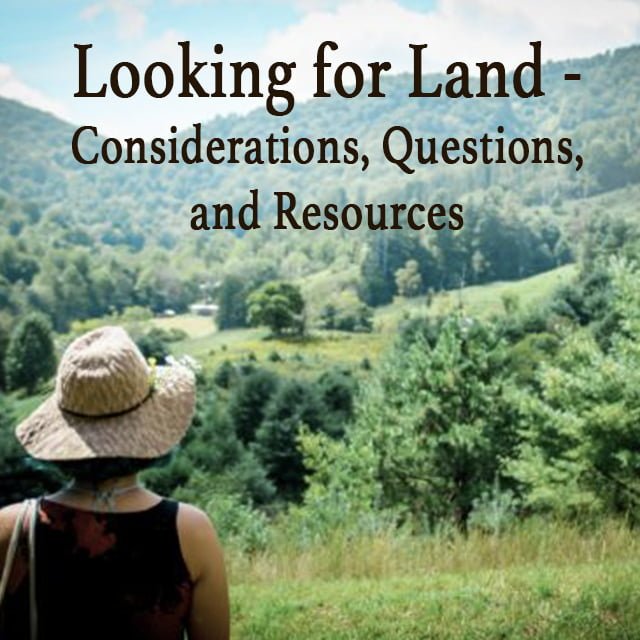 How to Live Off the Land: A Permaculture Guide 2023| WILD ABUNDANCE