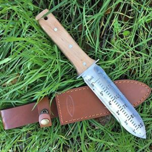 Basics of Foraging and Wildcrafting | WILD ABUNDANCE