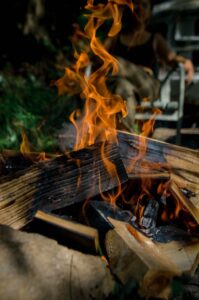 How to Build a Fire - Wild Abundance