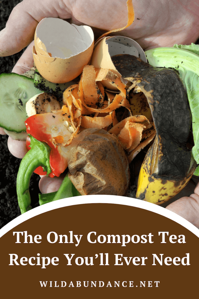 The Only Compost Tea Recipe You'll Ever Need | WILD ABUNDANCE