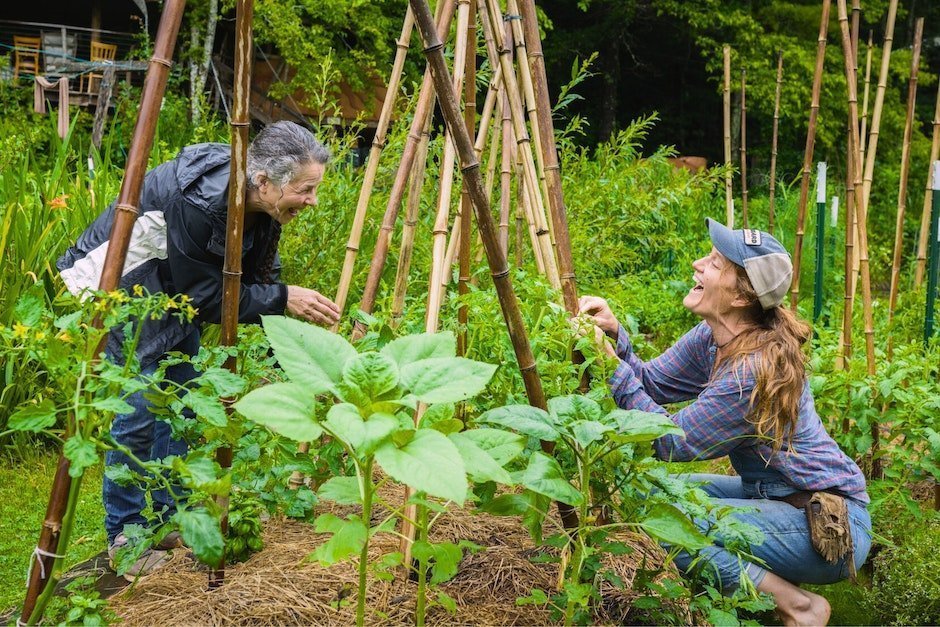 Permaculture Apprenticeship 2023 | Wild Abundance