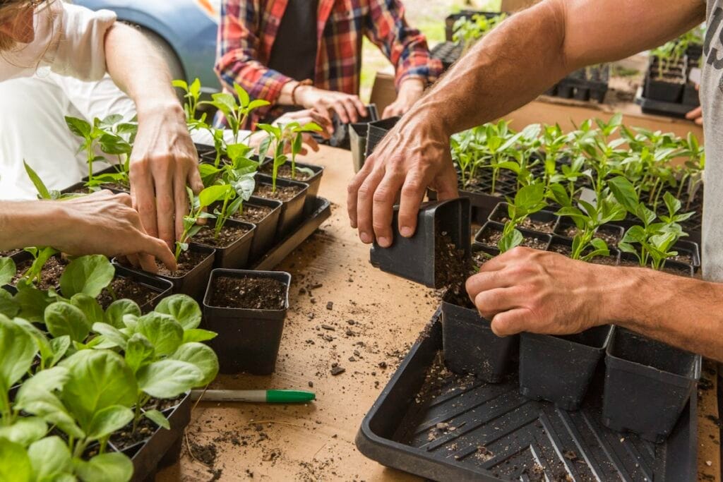 Permaculture Opportunities | 2025 Gardening Apprenticeships