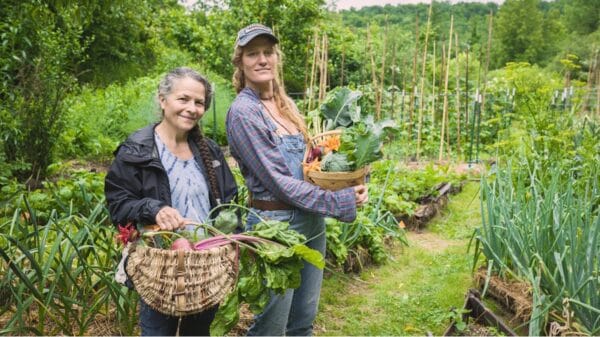 Permaculture Opportunities | 2025 Gardening Apprenticeships