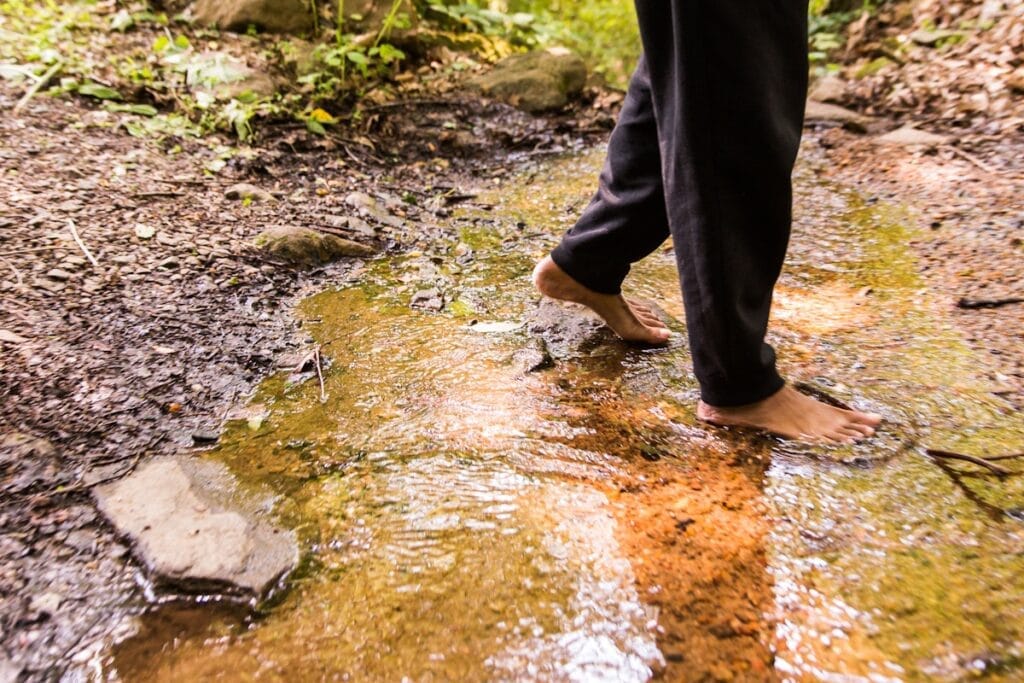 Rewilding for Women | Weekend Rewilding Retreats for Women