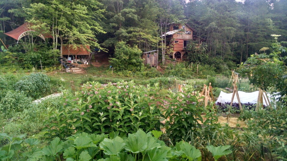 Permaculture Apprenticeship 2023 | Wild Abundance